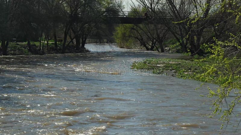 River Stream Flowing Fast after Rainfall Stock Video - Video of fast ...