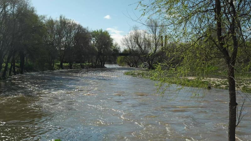 River Stream Flowing Fast after Rainfall Stock Footage - Video of ...