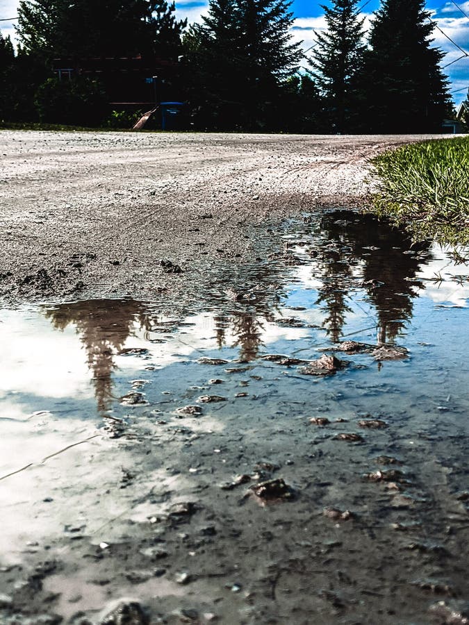 A Nature Reflection Shot from a Puddle Stock Photo - Image of morning ...