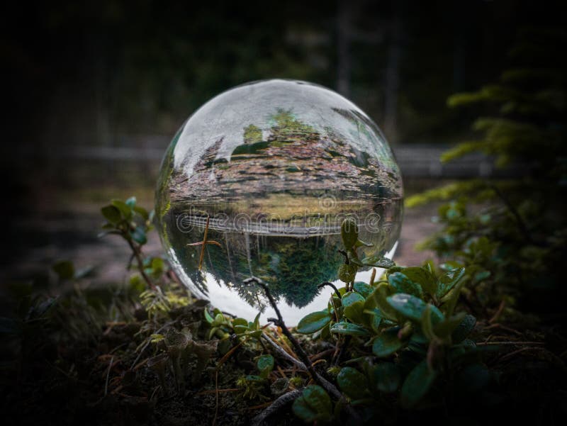 Nature, Reflection, Sphere, Water Picture. Image: 108244389