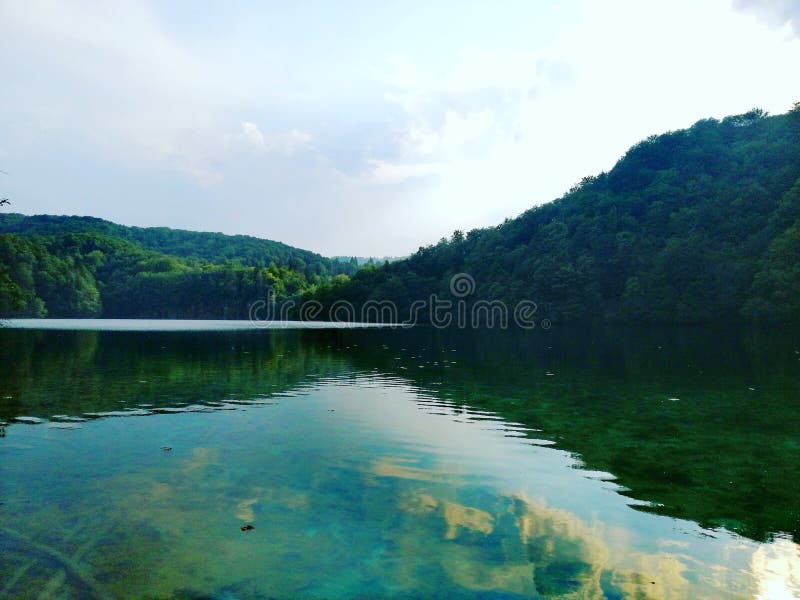 Nature reflection in water stock image. Image of reflection - 172264383