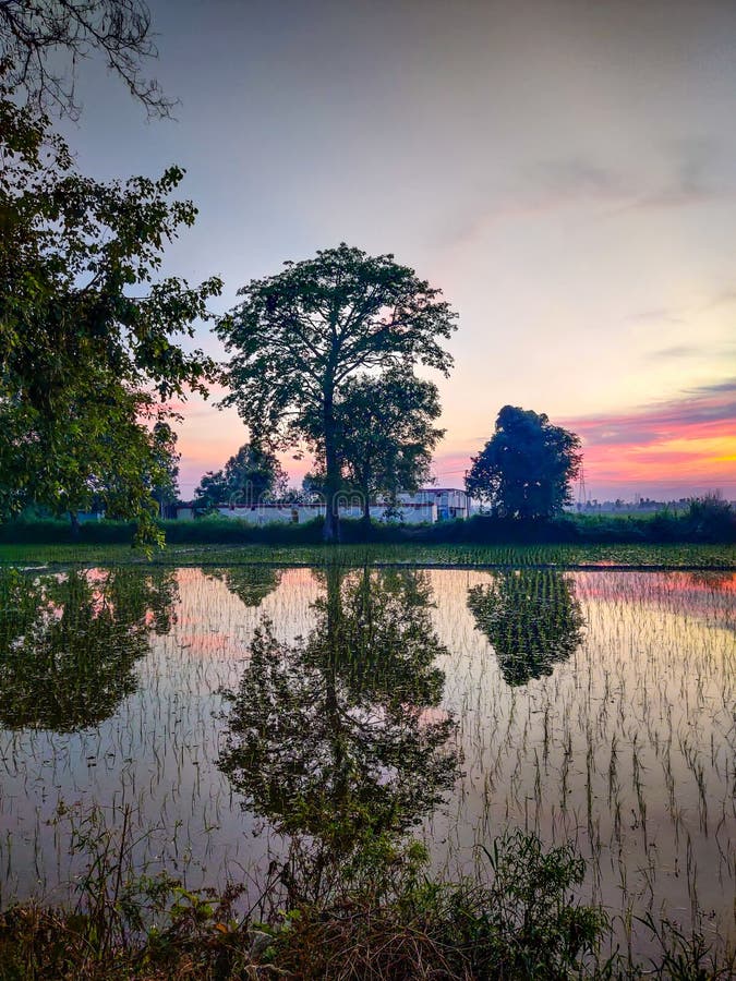 Nature Reflection in the Water Photography Stock Photo - Image of water ...