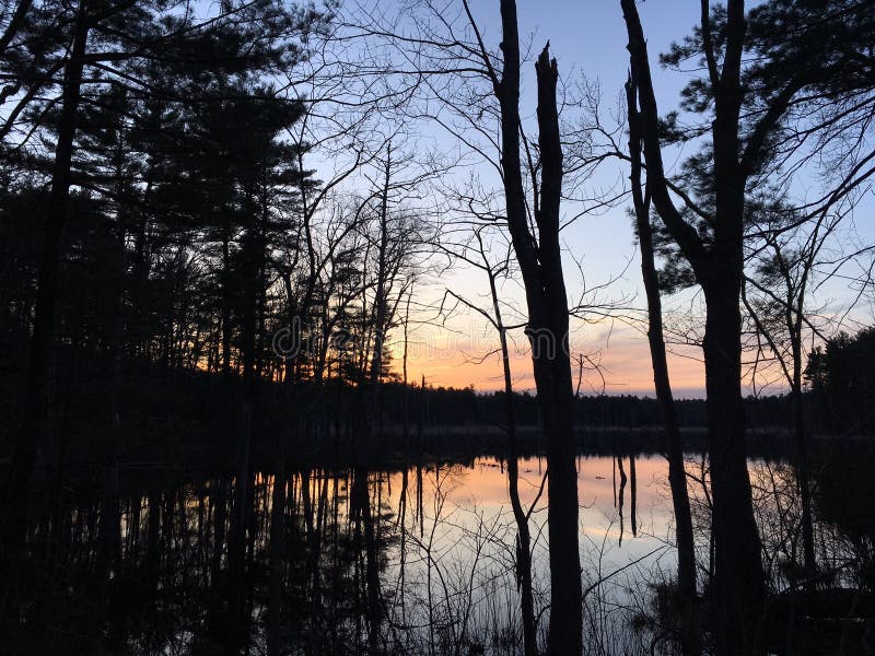 Sunset on the pond stock image. Image of pond, refuge - 88867391