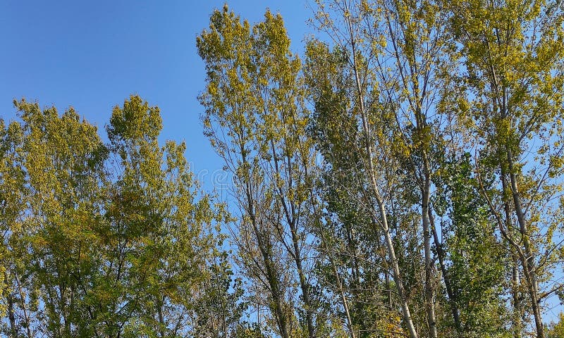 Nature is a Reserve of Beauty. it is Refreshing and Soothing. Stock ...