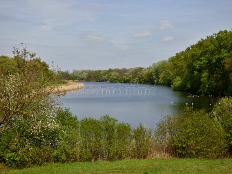 Nature Reserve, Ecosystem, Vegetation, Reservoir Picture. Image: 124939039