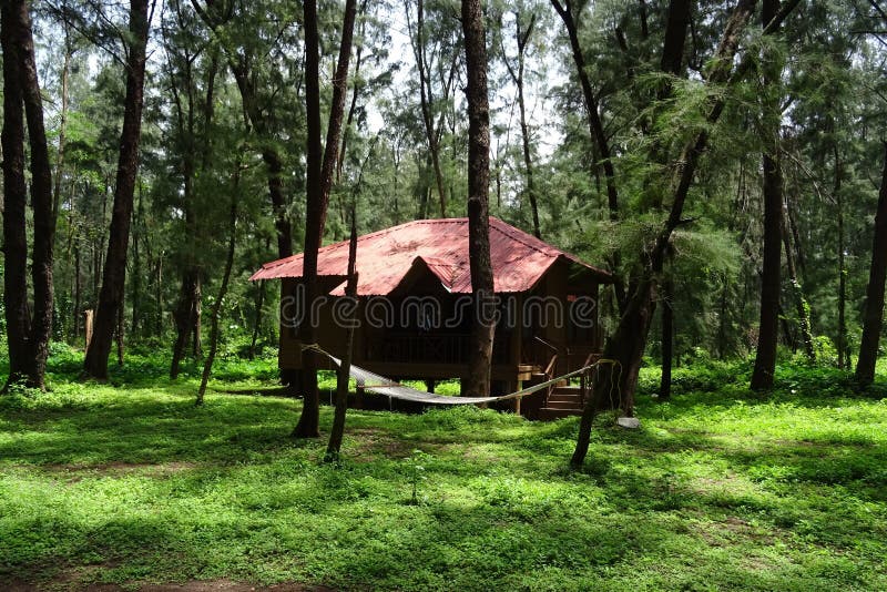 Nature Reserve, Forest, Tree, Hut Stock Image - Image of pasture, plant ...