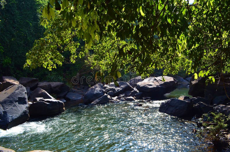 Nature Reserve in Goa and Mandovi Mountain River, India Stock Photo ...
