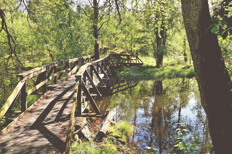 Nature Reserve, Path, Tree, Water Picture. Image: 128257178