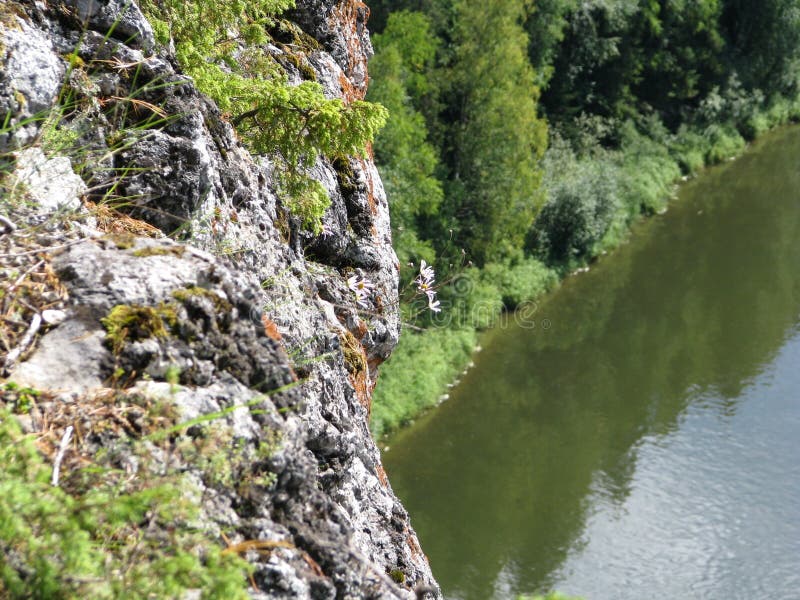 Nature Reserve, Water, Water Resources, Watercourse Picture. Image ...