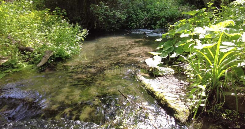 Nature Reserve with Waterfall. Beauty of Nature, Cold Water Stream ...