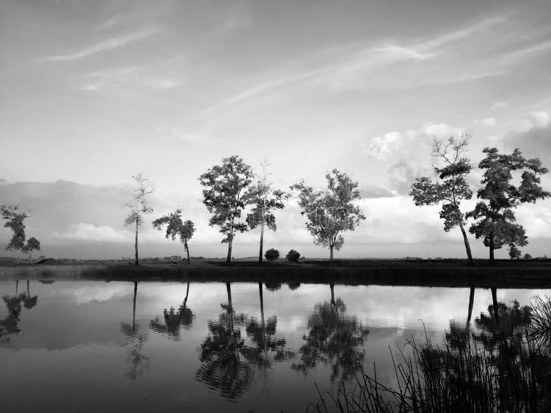 Nature stock image. Image of waterfront, resting, place - 172373847