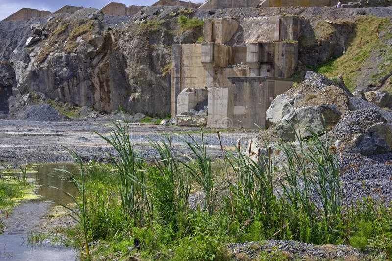Nature Returns to a Quarry stock image. Image of gree - 14917365