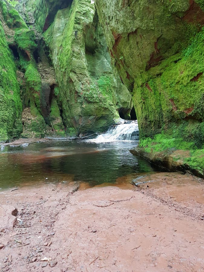 Nature river forest stock photo. Image of nature, sunshine - 117027524