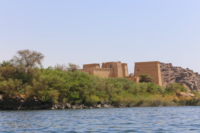 Reeds in the Nile river stock image. Image of papyrus - 138088965