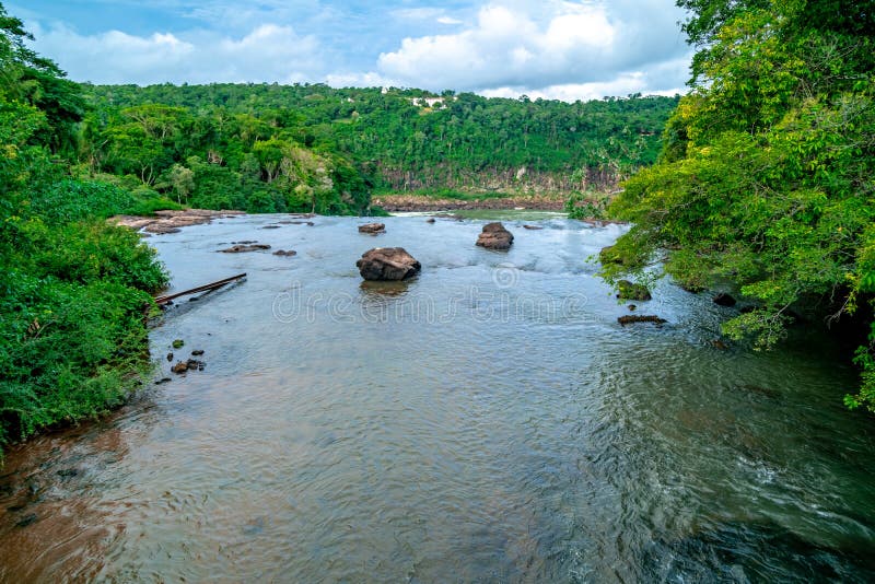 Nature, River and Plants Around Iguazu Falls Stock Image - Image of ...