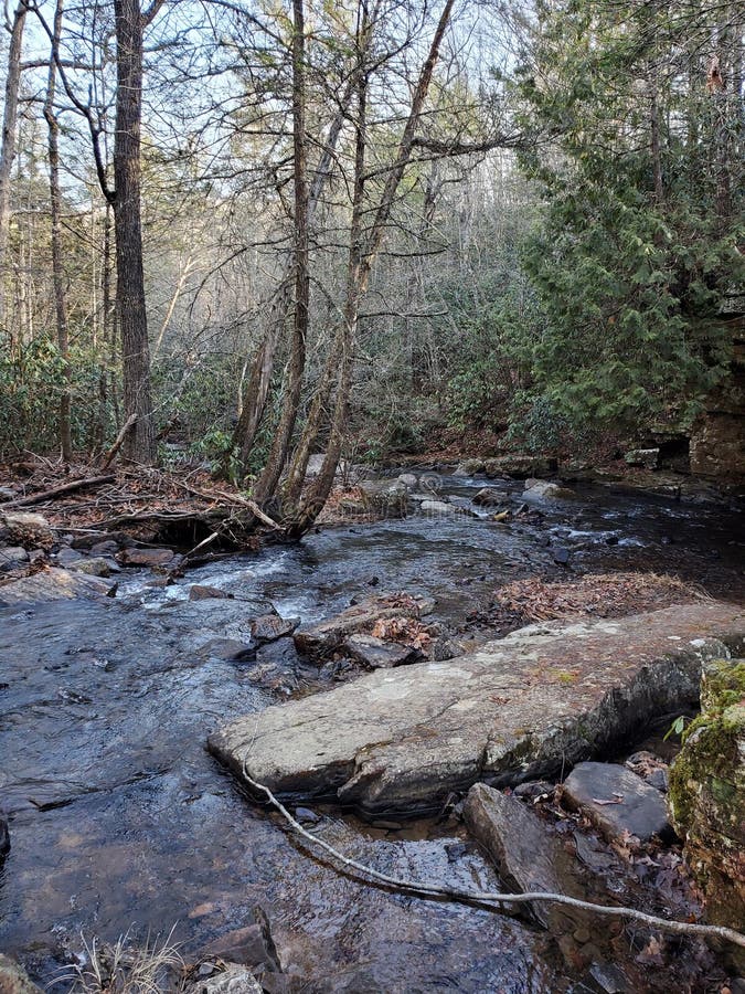 Nature River Rocks and Trees Stock Image - Image of plant, wildlife ...
