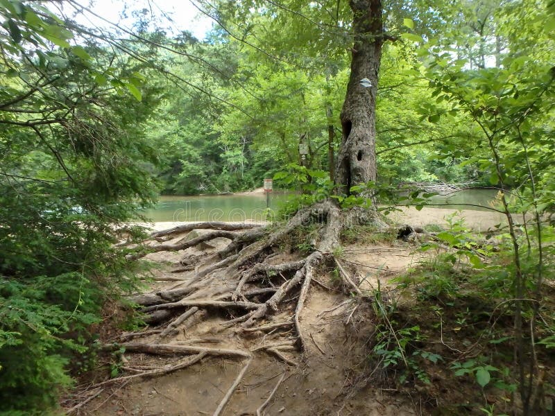 Nature River Scenes at Broad River in Blue Ridge Mountains Stock Photo ...