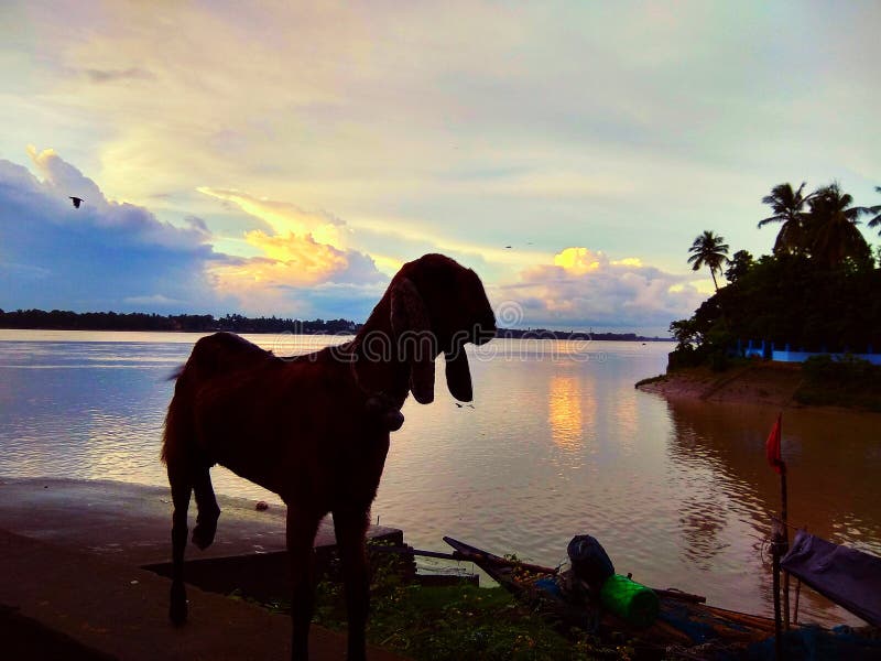 Nature of river sight stock photo. Image of river, light - 122108712