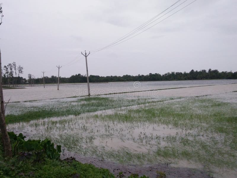 Nature of rural areas stock photo. Image of namkhana - 96708828