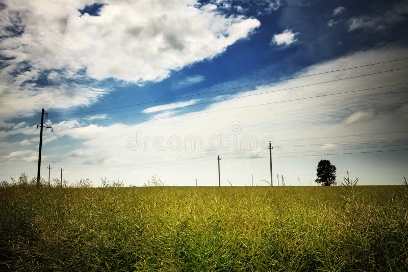 Nature Rural Landscape stock image. Image of countryside - 26547149