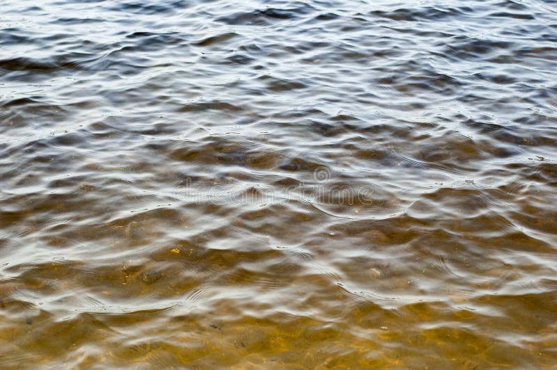 Nature S Abstract: Olive Color River Water Texture Stock Photo - Image ...