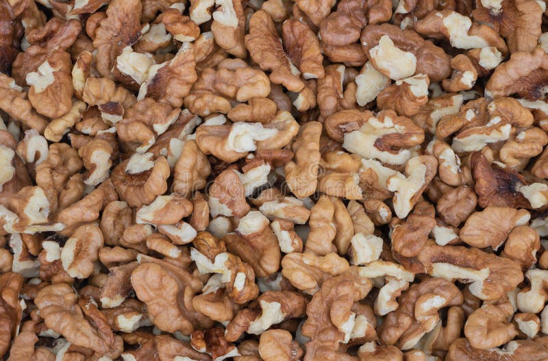 Nature S Abstract: the Texture of a Walnut Kernel Close Up Stock Photo ...