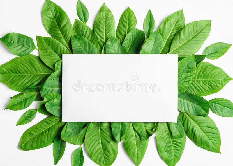 Nature S Artistry: Paper Frame with Green Leaf Border, Isolated on ...
