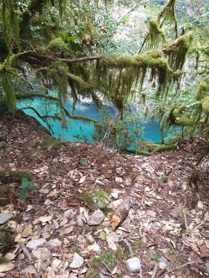 Nature& X27;s Beautiful Surroundings Stock Image - Image of beautiful ...