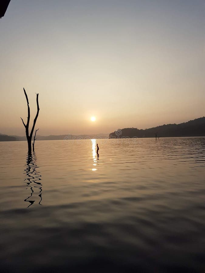 Nature& x27;s beauty stock photo. Image of nature - 125528780