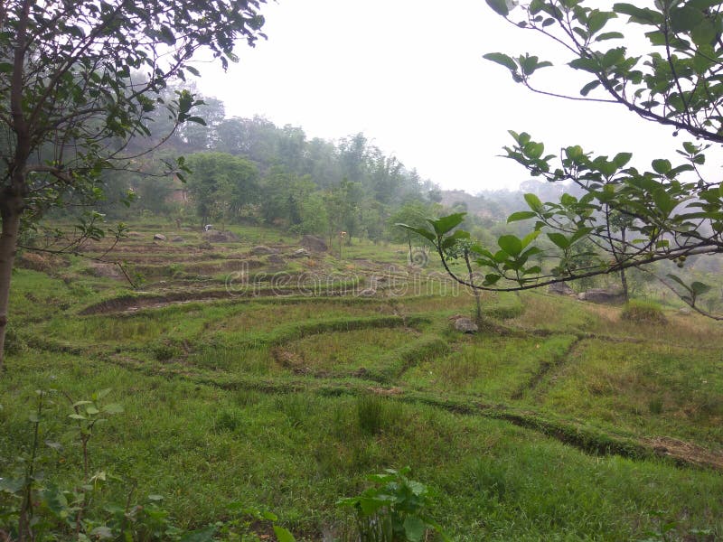 Nature at it& X27;s Best Stock Image - Image of beautiful, terrace ...