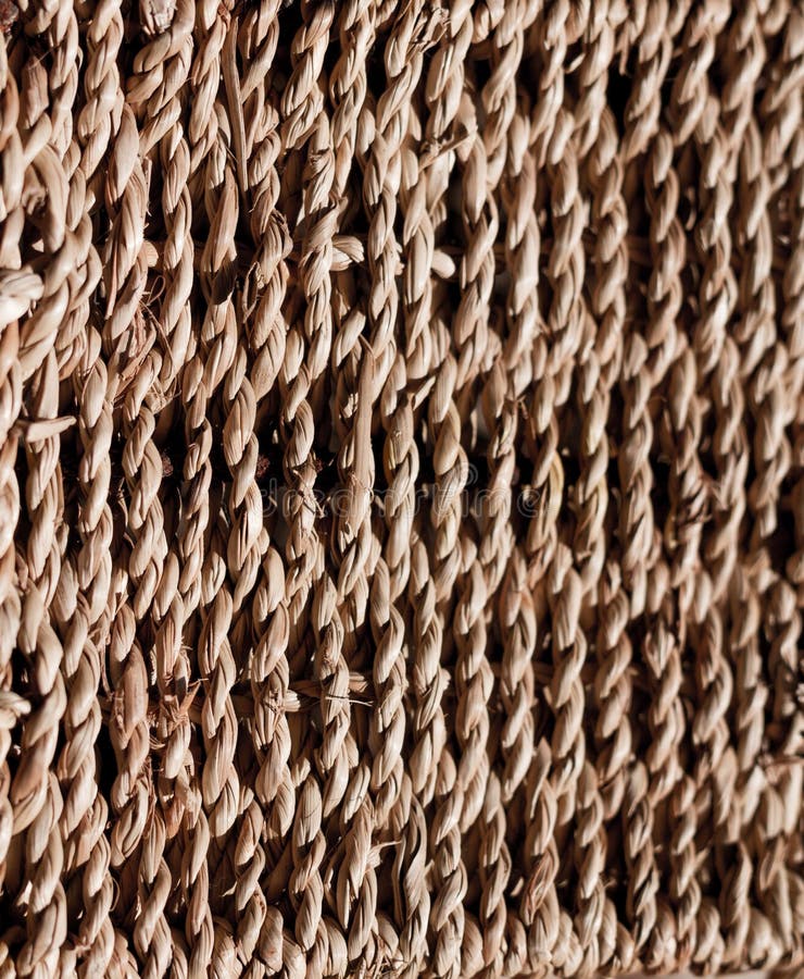 Nature S Canvas: Beige Seagrass Texture Stock Photo - Image of seagrass ...