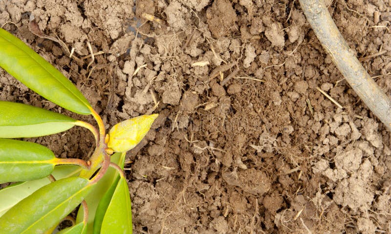 Nature s Corners stock photo. Image of growth, environment - 28415660