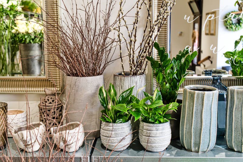 Nature S Harmony: Greenery and Rustic Ceramics in Interior Design Stock ...