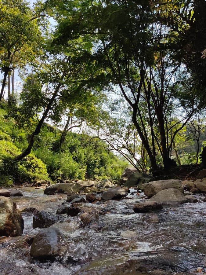 Nature’s Harmony, Tranquil Waters Stock Image - Image of sense ...
