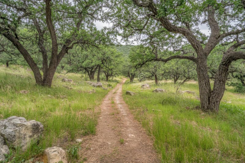 Trailside Tranquility Stock Illustrations – 17 Trailside Tranquility ...