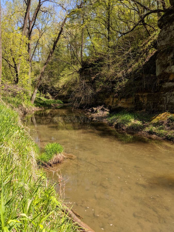 True Beauty stock image. Image of beauty, prime, nature - 119509049