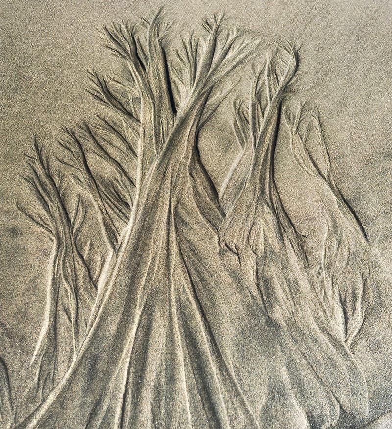 Nature`s Sand Art stock image. Image of etched, sand - 98152307