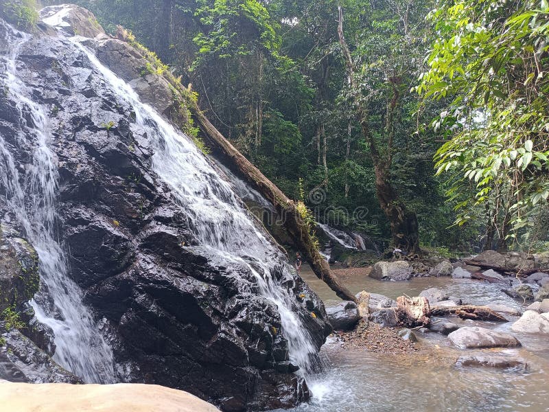 Nature’s Secret Hidden Waterfall in the Wilderness Stock Image - Image ...