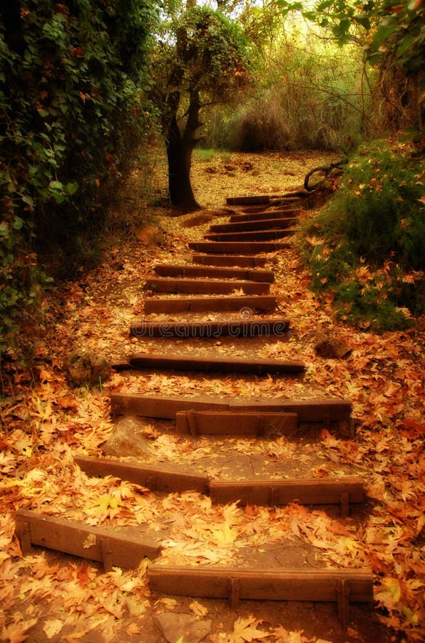 Nature's Staircase Stock Photography - Image: 2657732