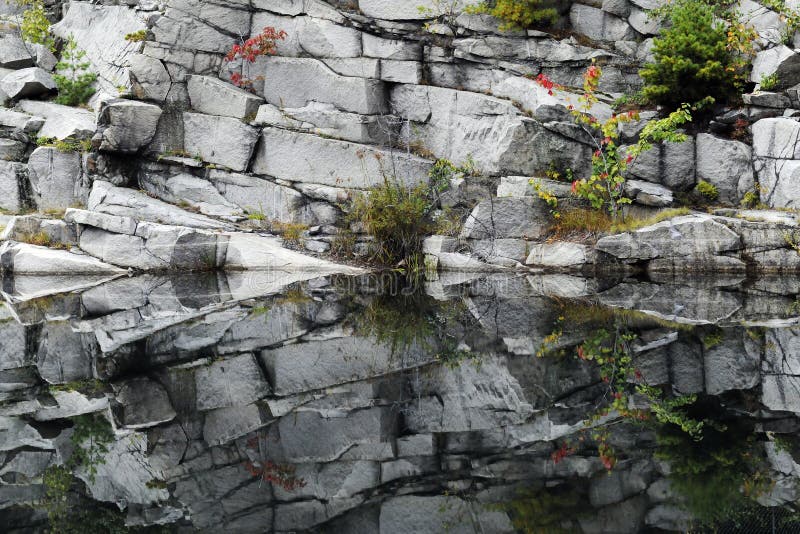 Nature s Symmetry stock image. Image of outdoors, patterns - 23000881