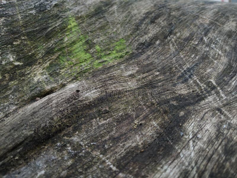 2,454 Timeline Of Pornography History Stock Photos - Free & Royalty ...