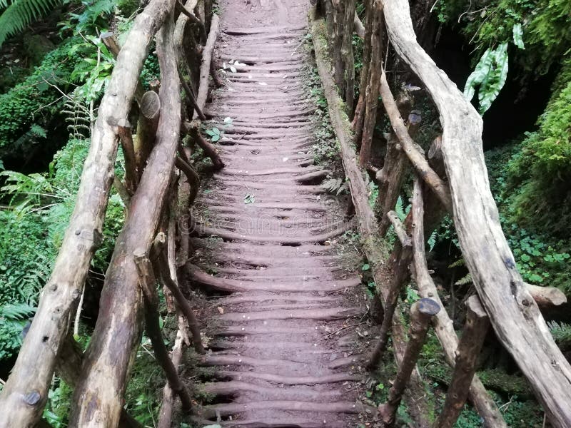 Nature Walkway Be Brave Strong Natural Stock Image - Image of walkway ...