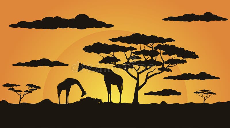 Nature Safari. Giraffe Silhouettes on the Background of the African Sun ...