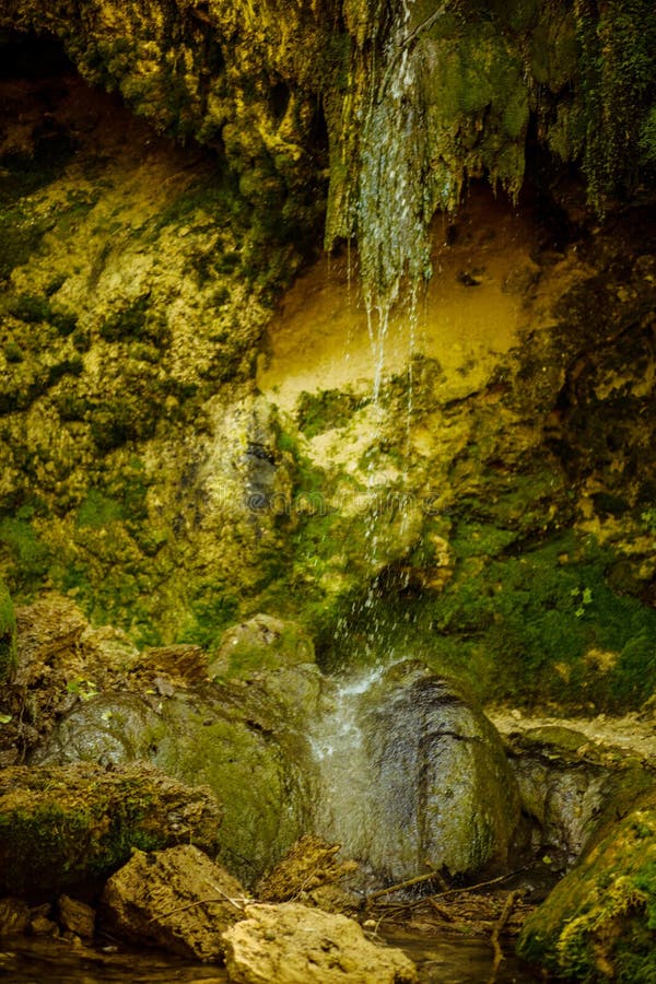 Nature sanctuary stock photo. Image of waterfall, freedom - 168982220