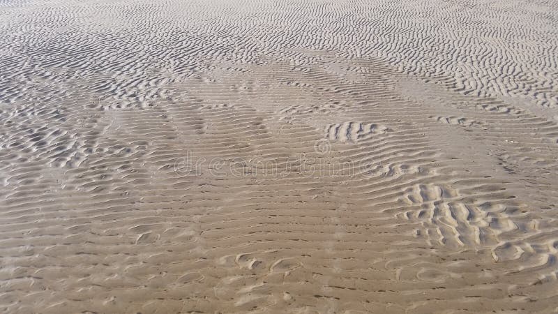 Nature Sand Trace stock photo. Image of baltic, brown - 175182124