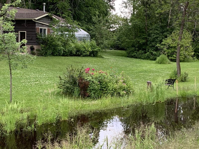 Nature of scenarios photo stock photo. Image of pasture - 189407562