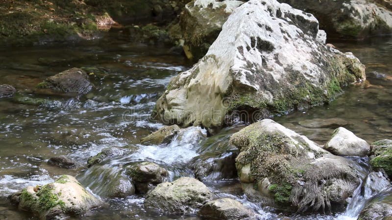 Nature Scene Mountain Stream Stock Footage - Video of clean, river ...