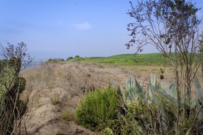 Nature Scene Overlooking the Ocean Stock Photo - Image of beach, nature ...