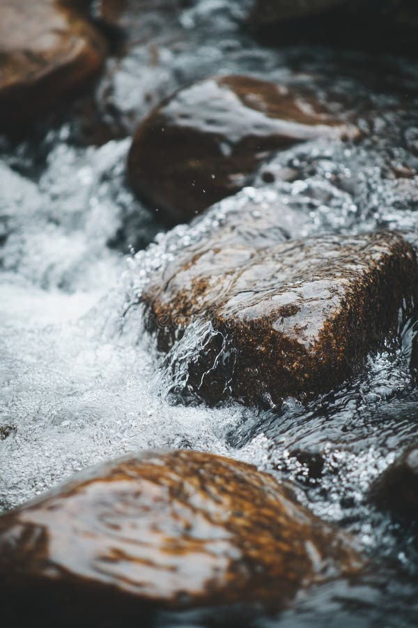 Nature Scene stock image. Image of terrain, landscapes - 362010217