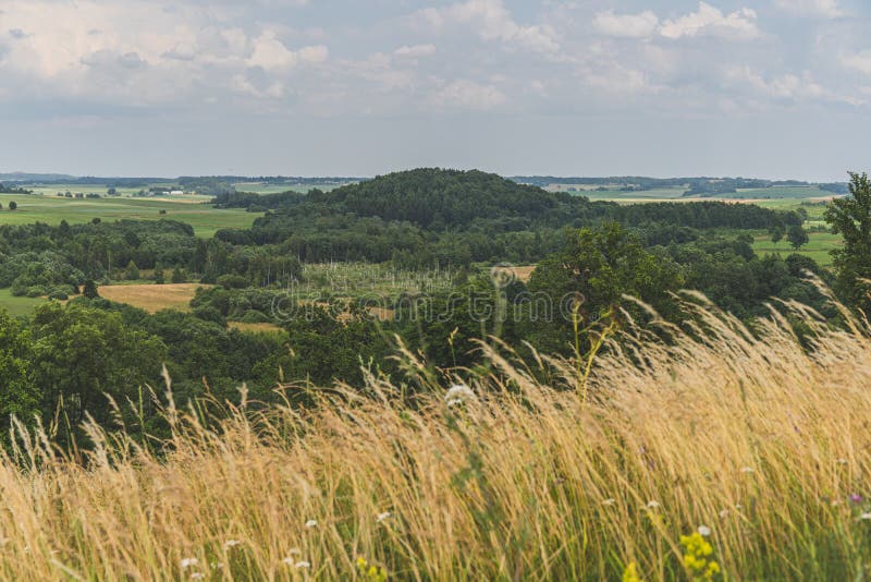 The Nature Scenery of Lithuania. Stunning Green and Forest Landscape ...